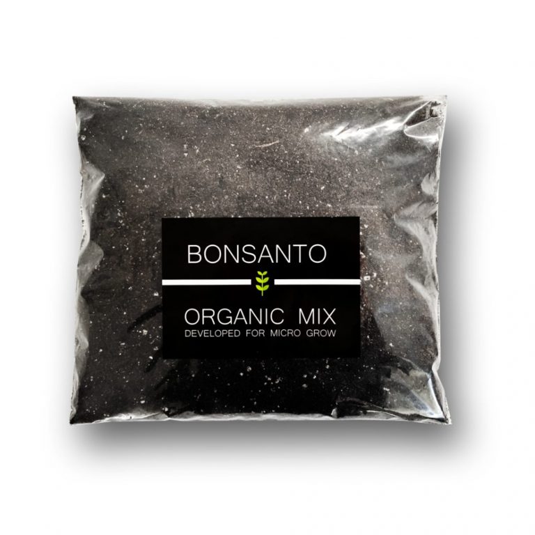 Bonsanto® Mini Grow Box System - Effektives & leichtes Indoor Growing!