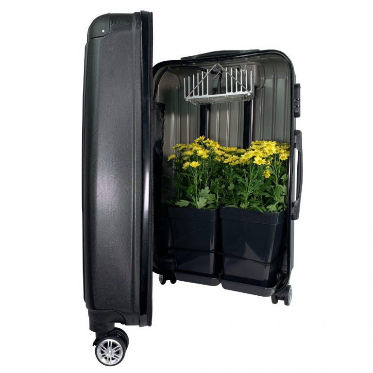 Bonsanto® Mini-Grow-Box Koffer L - Bonsanto®