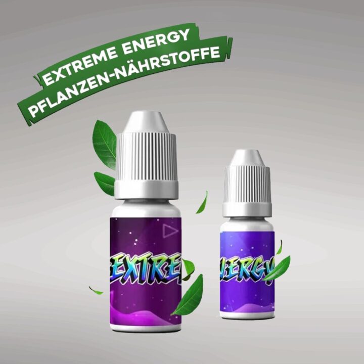Bonsanto® Konzentrat "EXTREME ENERGY" - Bonsanto®